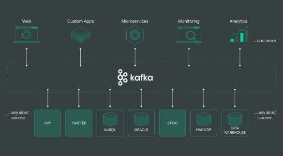 The 10 Essential Python Libraries for Every Data Scientist in 2025 - Matrix219 English Blog